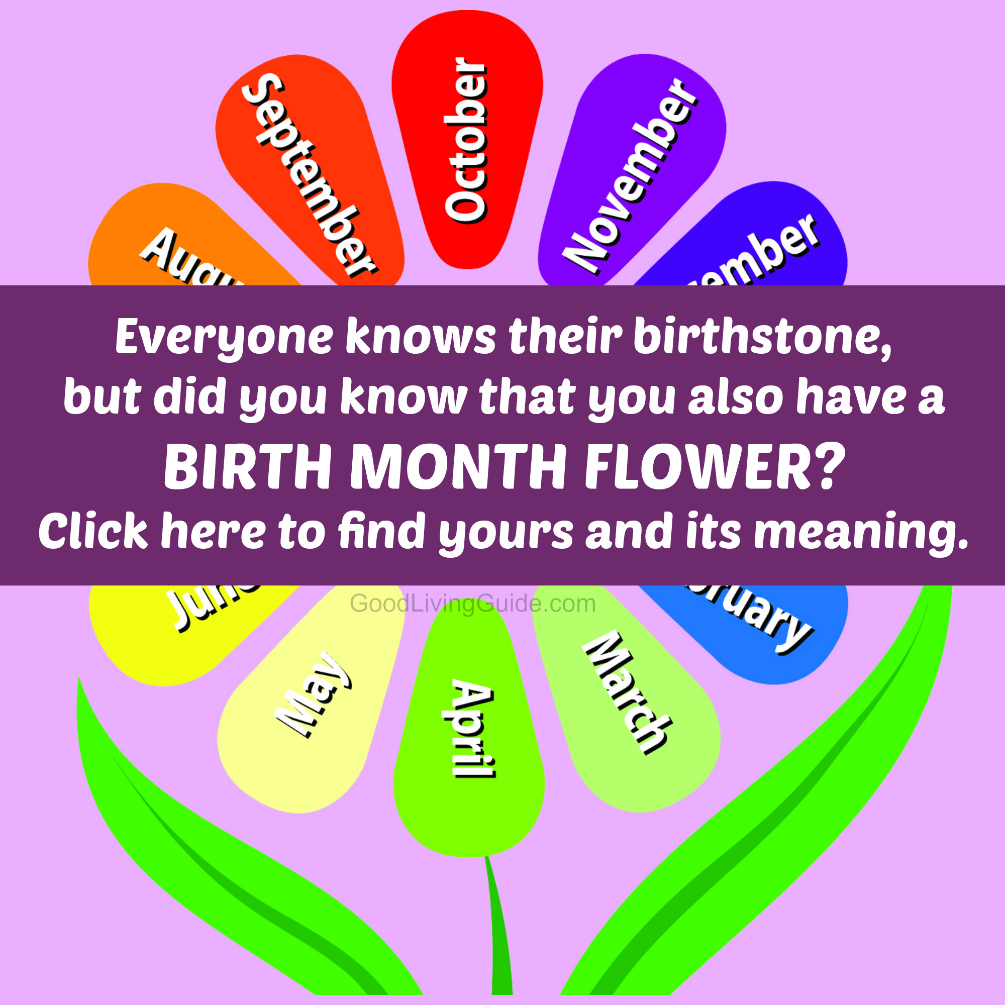 Birth Month Flowers And Meanings Chart