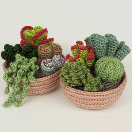 Crochet Succulents and Cacti Will Brighten Up Your Window Sill
